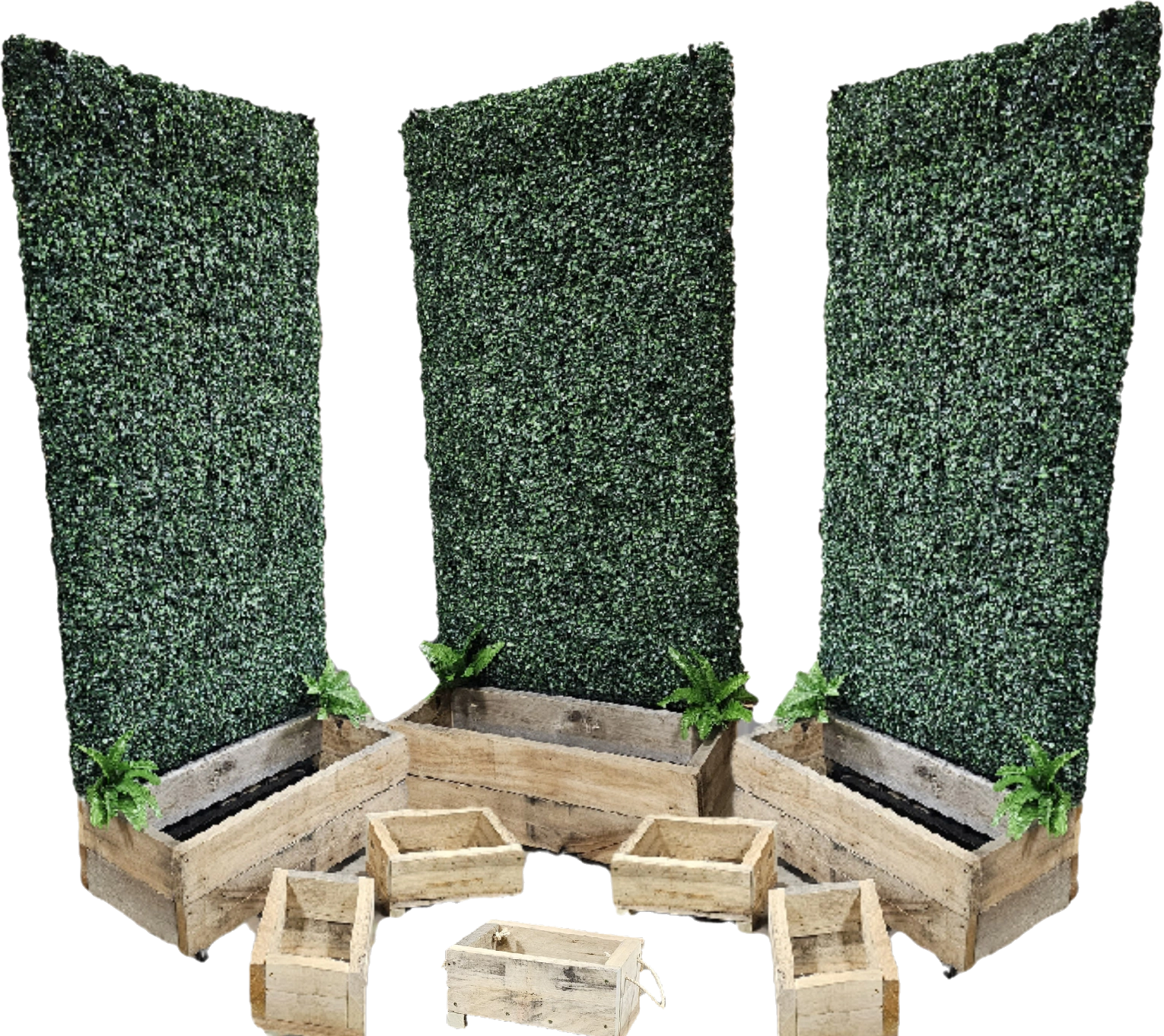 Rent Privacy Hedge Walls